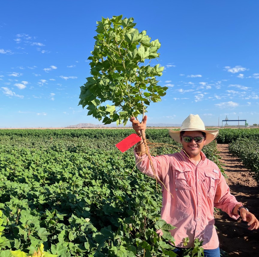 SPLS Seminar: Using high-throughput phenotyping methods to characterize ...